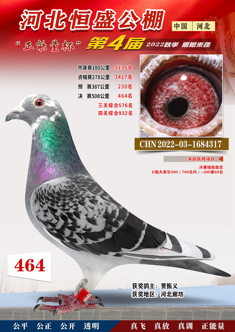 464 Zimgs